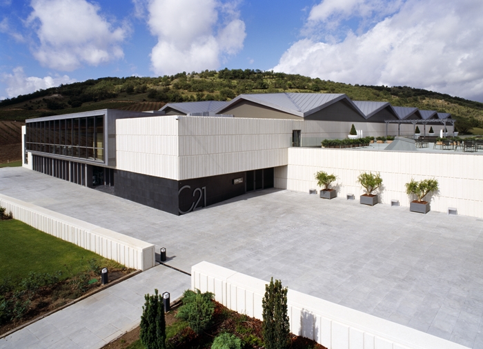 Cepa 21, la revolución vitivinícola que potencia la variedad clon de Tempranillo