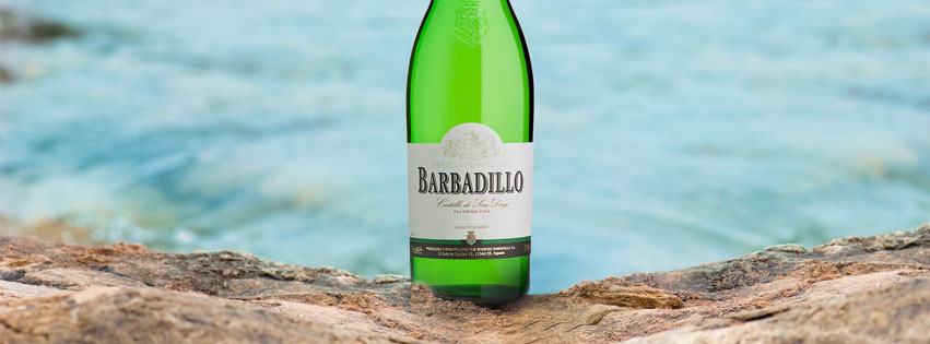 Más de 80 bloggers gastronómicos presentan sus recetas para el concurso ...