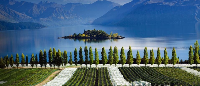 Las 10 regiones vinícolas más frías del mundo