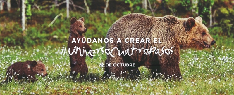 Una jornada para colaborar en la recuperación del hábitat del oso pardo ...