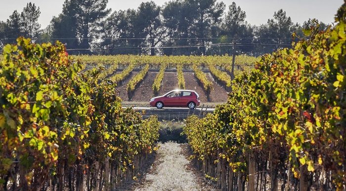 Llega la primera 'Wine Road' española, inspirada en las famosas de ...