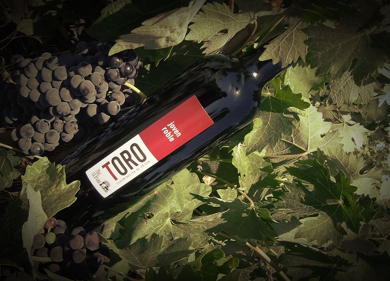 Viaje por la tradición, la historia y la cultura del vino de Toro