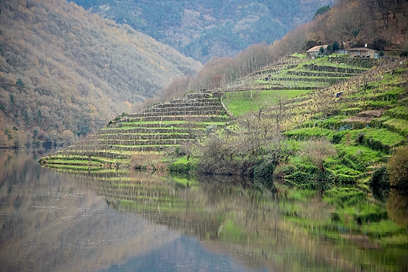 2018: La DO Ribeira Sacra hace balance de un meritorio año
