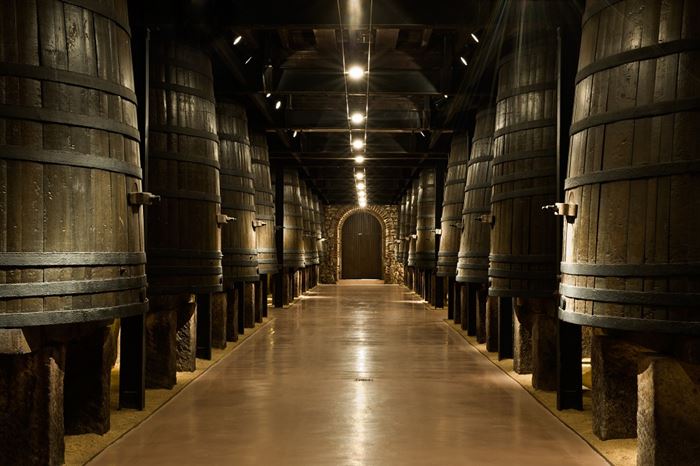 5 bodegas en España que no te puedes perder