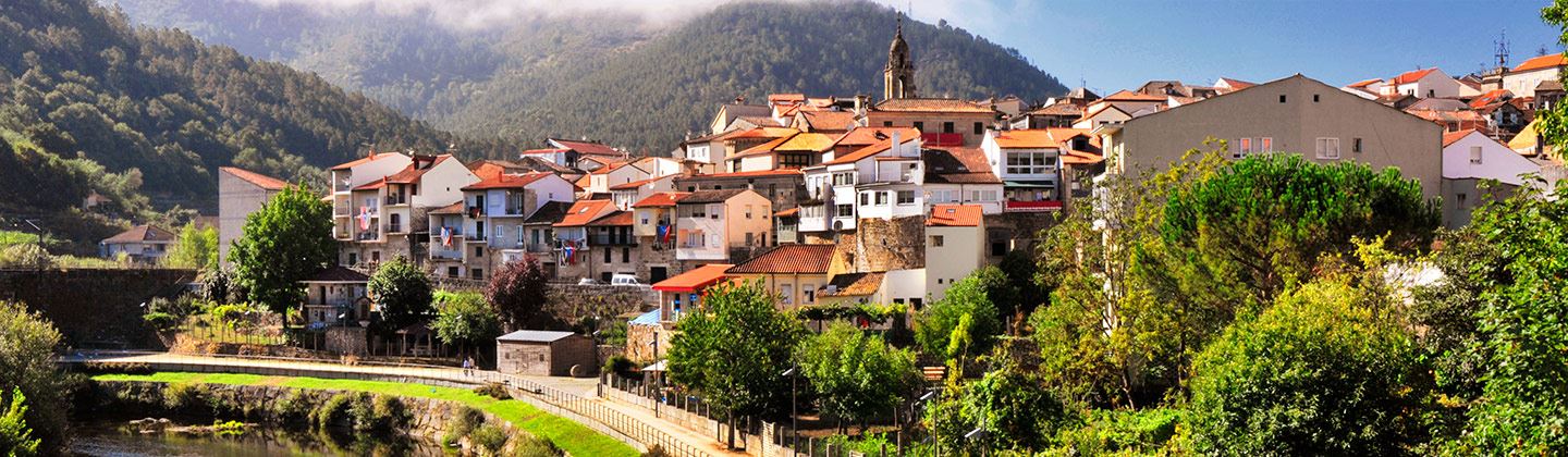 Primeros pasos para la creación del “Boulevard del Vino” en Ribeiro