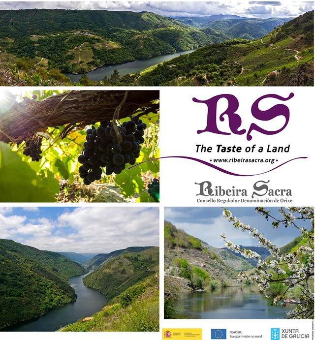 La D.O. Ribeira Sacra despide el mejor año de su historia