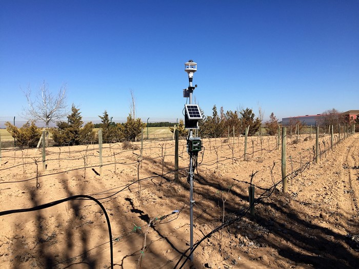 Bodegas Martúe incorpora tecnología 'smart agro' en su transformación ...