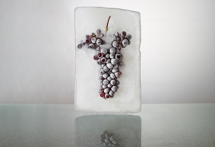 Las mejores fotos de Bodegón 2019