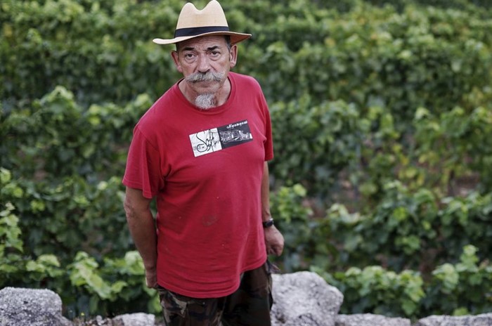 Emilio Rojo recibe el premio 'Vida entre vides' 2019 de la Denominación ...