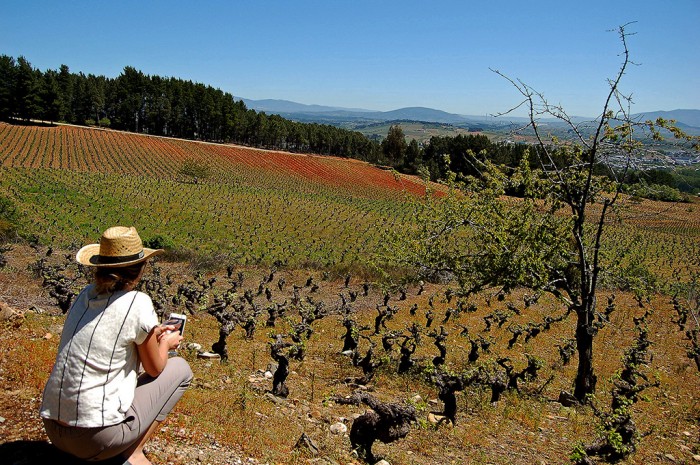 Una excusa y tres motivos para visitar El Bierzo este otoño