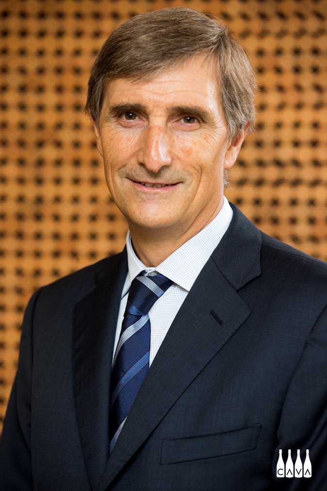 Medidas históricas para producción en la DO Cava