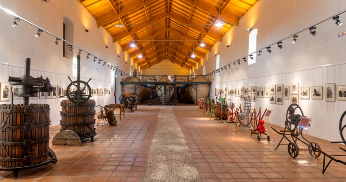 13 Museos del vino en Europa de visita obligatoria