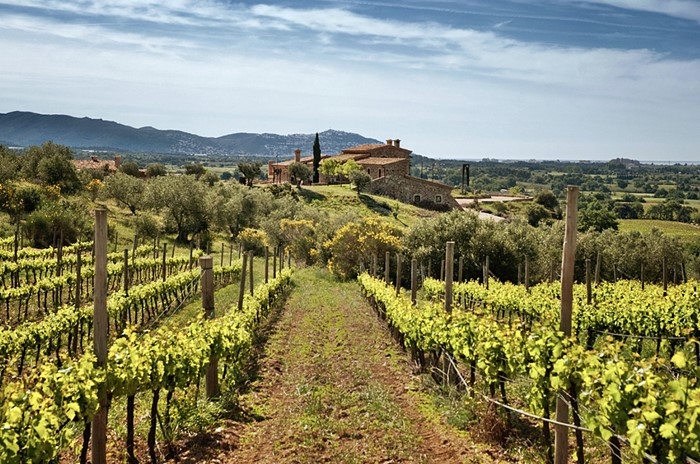 Roses, protagonista de un festival enoturista 'VÍVID' muy especial