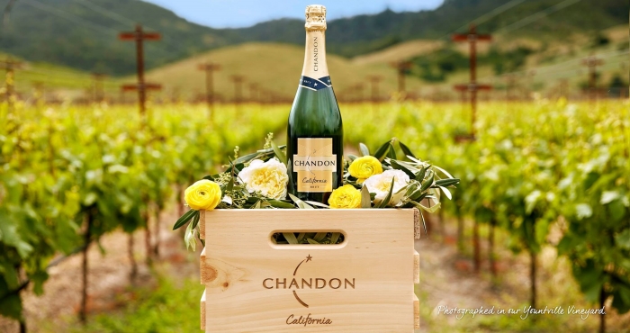 Disfruta de los mejores vinos de América con las catas de vino de ...