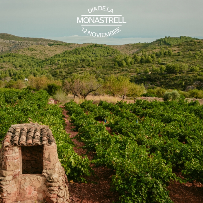 Monastrell, una frágil variedad española a preservar