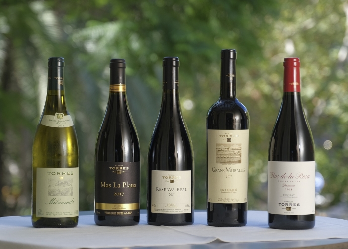Familia Torres presenta las nuevas añadas de sus cinco vinos más ...