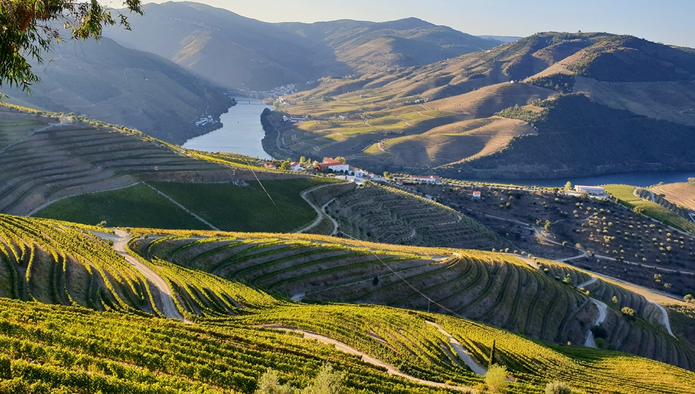 Descubrir el curso del Duero en España y Portugal: historia, paisaje ...