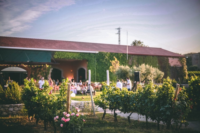 Familia Torres propone tres experiencias para vivir la vendimia en el ...