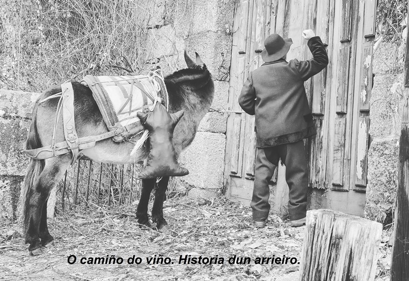 Ribeiro impulsa la figura del “arrieiro” como reclamo enoturístico