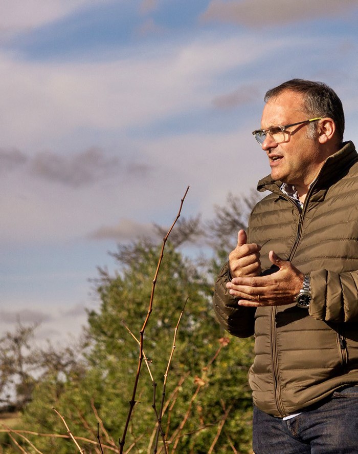 La mineralidad interpretada por Josep Grau