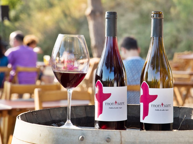 Los vinos de la DO Montsant protagonistas de nuevo en el Vinseum