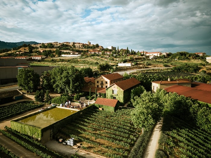 Bodegas Cosme Palacio ultima su estrategia para liderar la elaboración ...