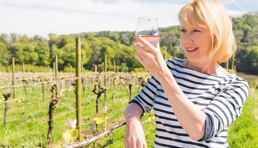 Las influencers vinícolas de U.K. con la D.O. Navarra