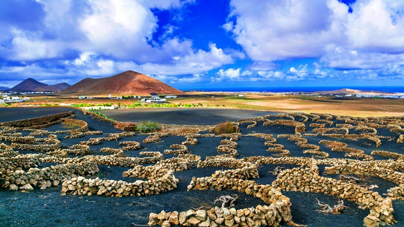 La Geria, uno de los viñedos más insólitos del mundo