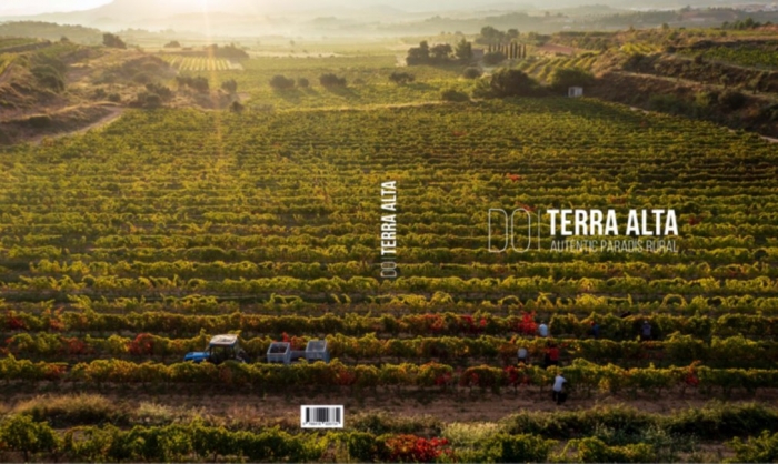 Terra Alta: El Secreto Vitivinícola de Cataluña