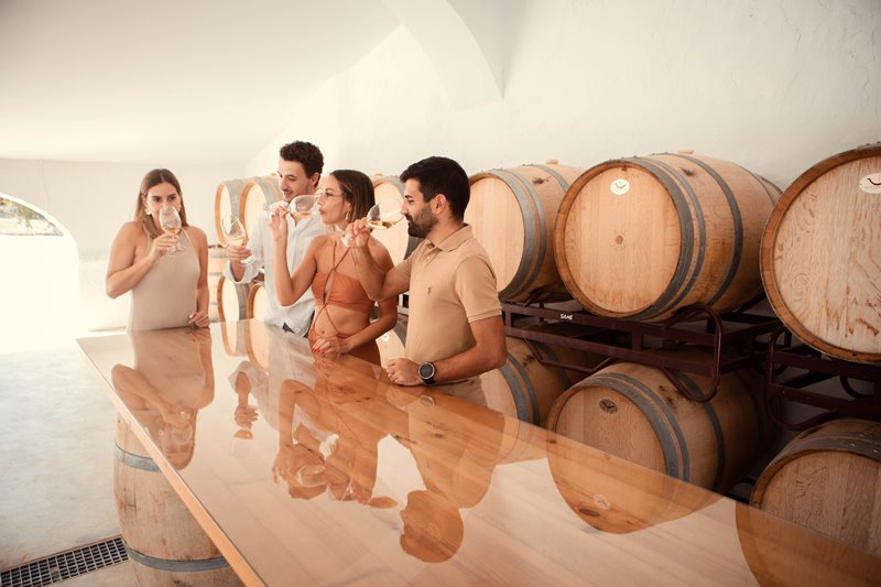 ACEVIN confirman la completa recuperación del enoturismo en España