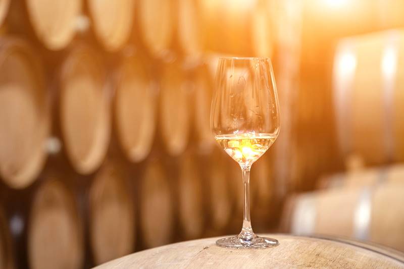 Predicador Blanco 2022, 10 meses en barrica para un resultado excepcional