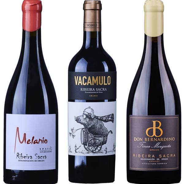 Don Bernardino conquista Corea del Sur en Taste Spain Seúl 2024