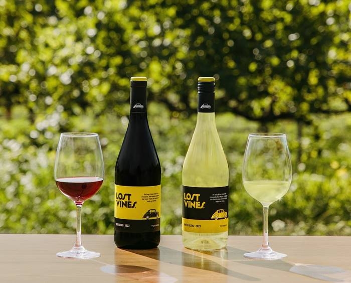 Familia Torres lanza Lost Vines, vinos para jóvenes