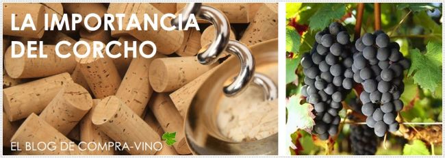 La importancia del corcho