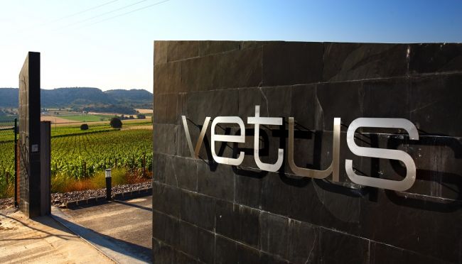 Flor de Vetus 2017, un vino blanco verdejo de altura
