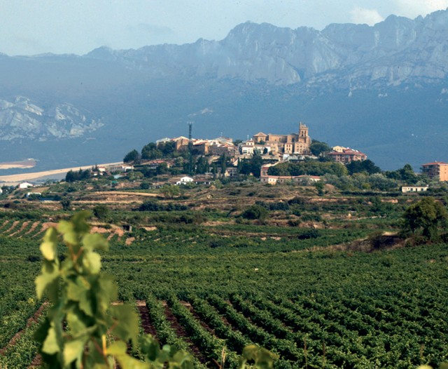 6 planes para una escapada enoturista otoñal a Laguardia