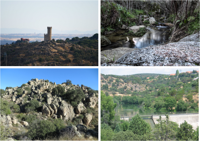 Dos rutas para disfrutar de la naturaleza en Torrelodones