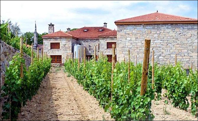 Vinos y Bodegas Gallegas